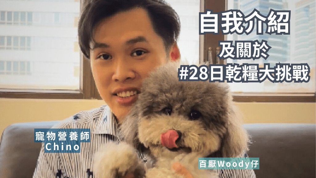 認識寵物營養師 Chino Lui 及28日乾糧大挑戰 | Now.com WATCH