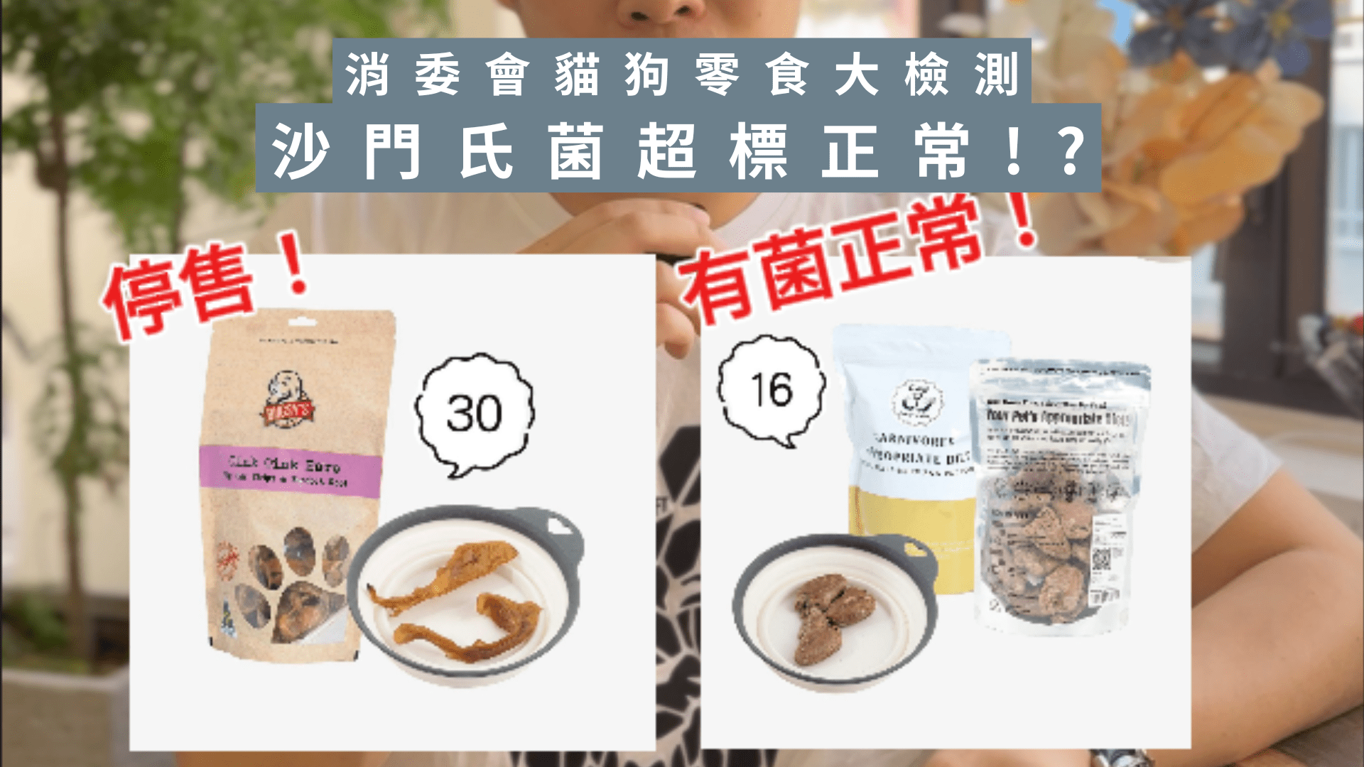 消委會貓狗零食大檢測 沙門氏菌超標正常!? by 寵物營養師 Chino Lui | Now.com WATCH