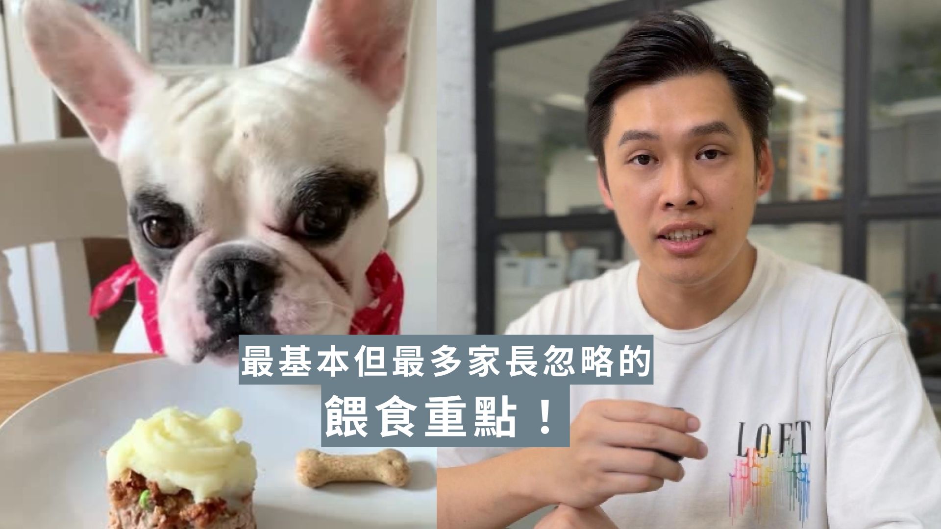 最基本但最多家長忽略的餵食重點！by 寵物營養師 Chino Lui | Now.com WATCH