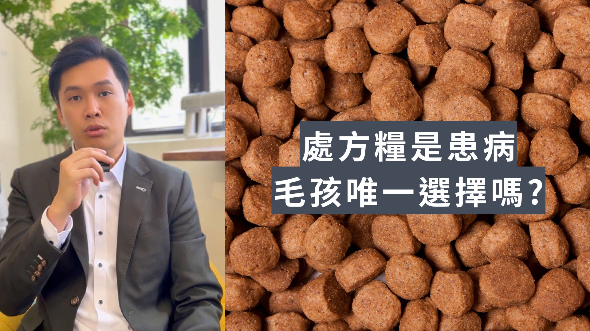 處方糧是患病毛孩唯一選擇? by 寵物營養師 Chino Lui | Now.com WATCH
