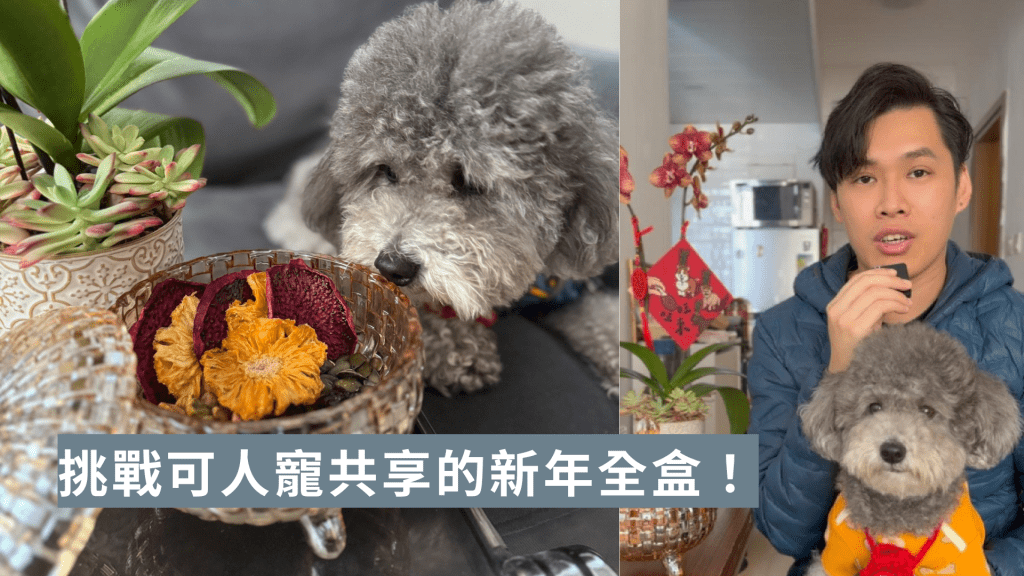 挑戰可人寵共享的新年全盒 by 寵物營養師 Chino Lui | Now.com WATCH