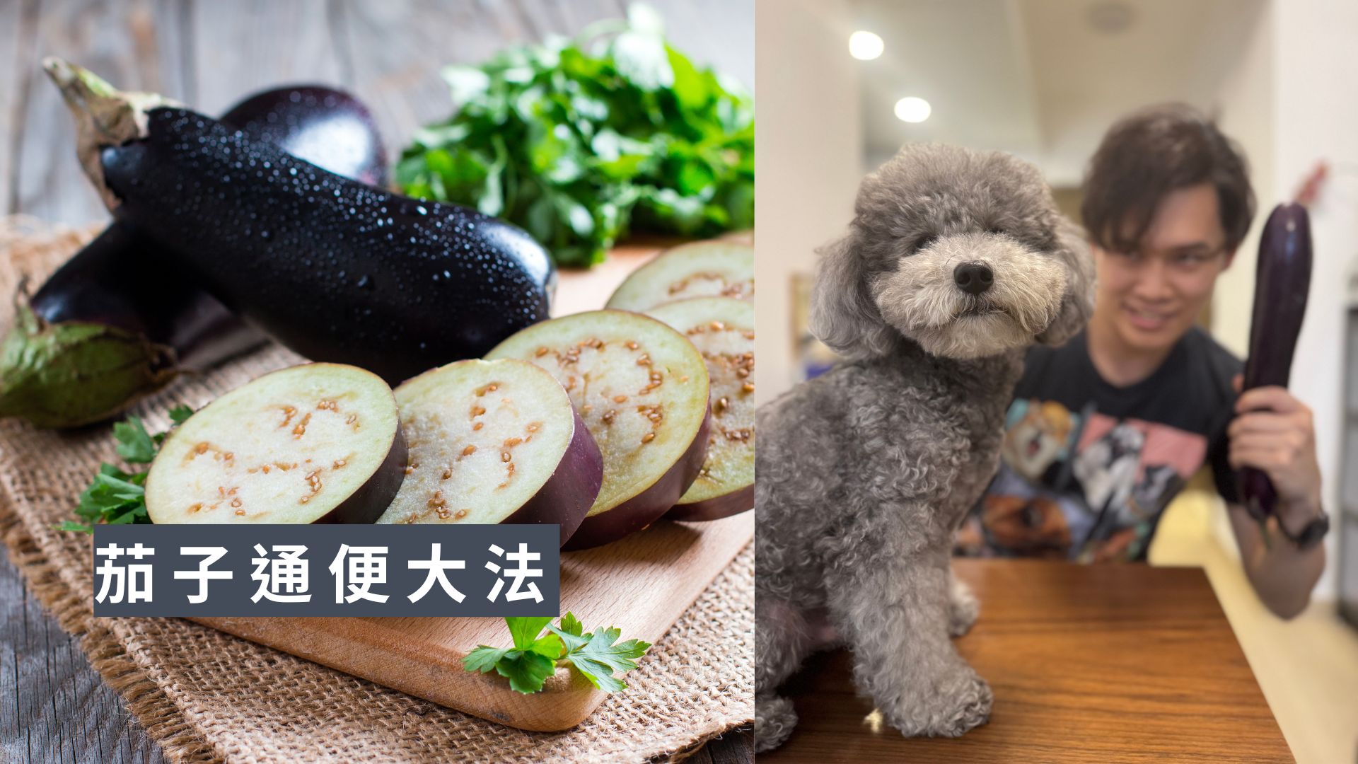茄子通便大法by 寵物營養師 Chino Lui | Now.com WATCH
