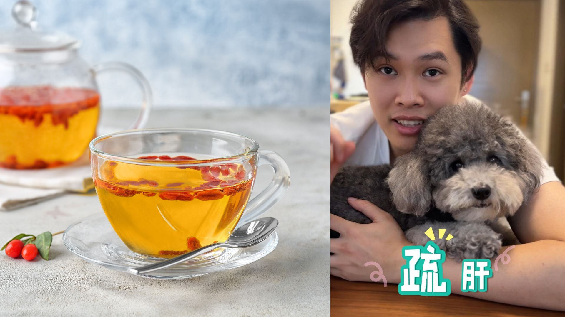 疏肝大法by 寵物營養師 Chino Lui" | Now.com WATCH
