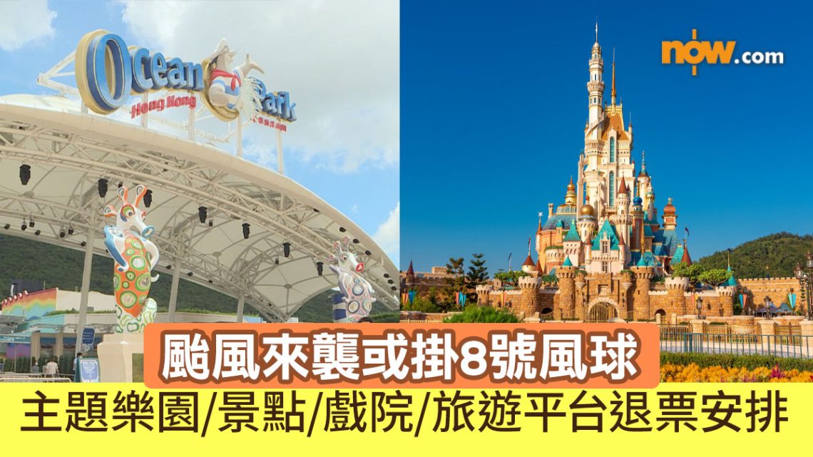 【AI 短片實測】Veo vs Grok-4 vs 豆包AI！邊個幫你張證件相「動起來」？生成效果大比拼！ | Now.com WATCH